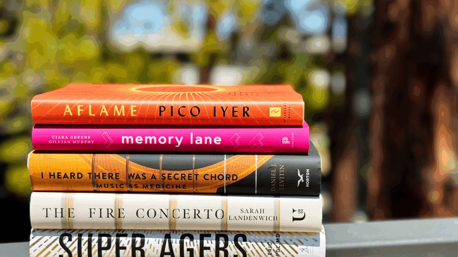 Dean Minor’s 2025 Summer Reading List | Lane Library Blog